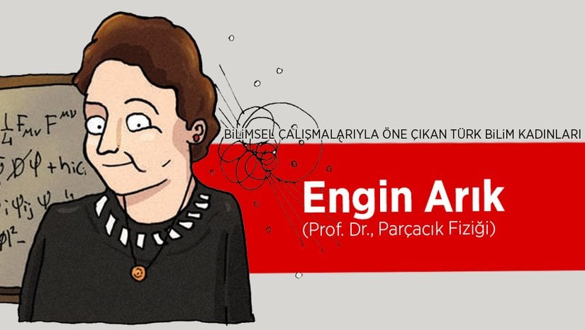 Engin Arık: Bilimde Bir Kadın Öncü ve Türkiye’nin Kaybedilen Değeri ...