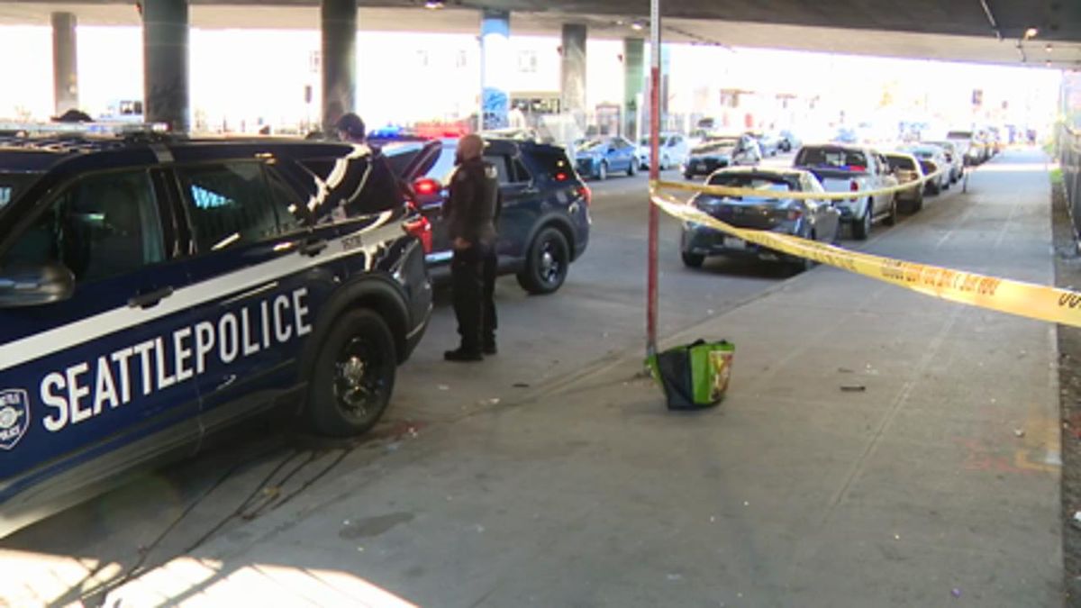 Seattle Community Struggles After Stabbing Spree - The Pinnacle Gazette