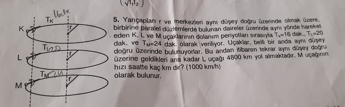 Bu tip soruların mantığı nedir nasıl çözülür? | Soru & Cevap - Evrim Ağacı